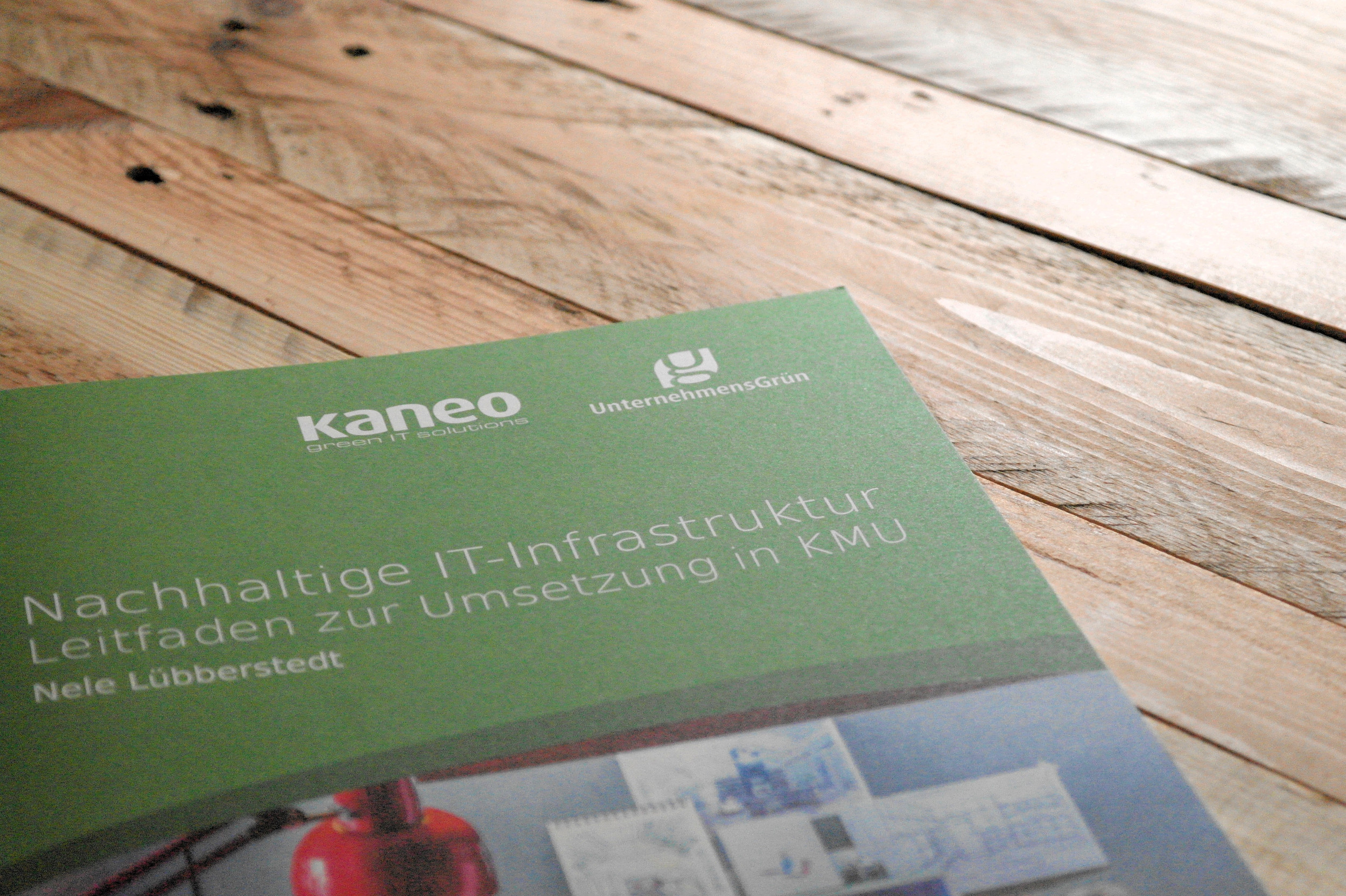 Let’s make IT green – Leitfaden zur Umsetzung nachhaltiger IT - kaneo ...